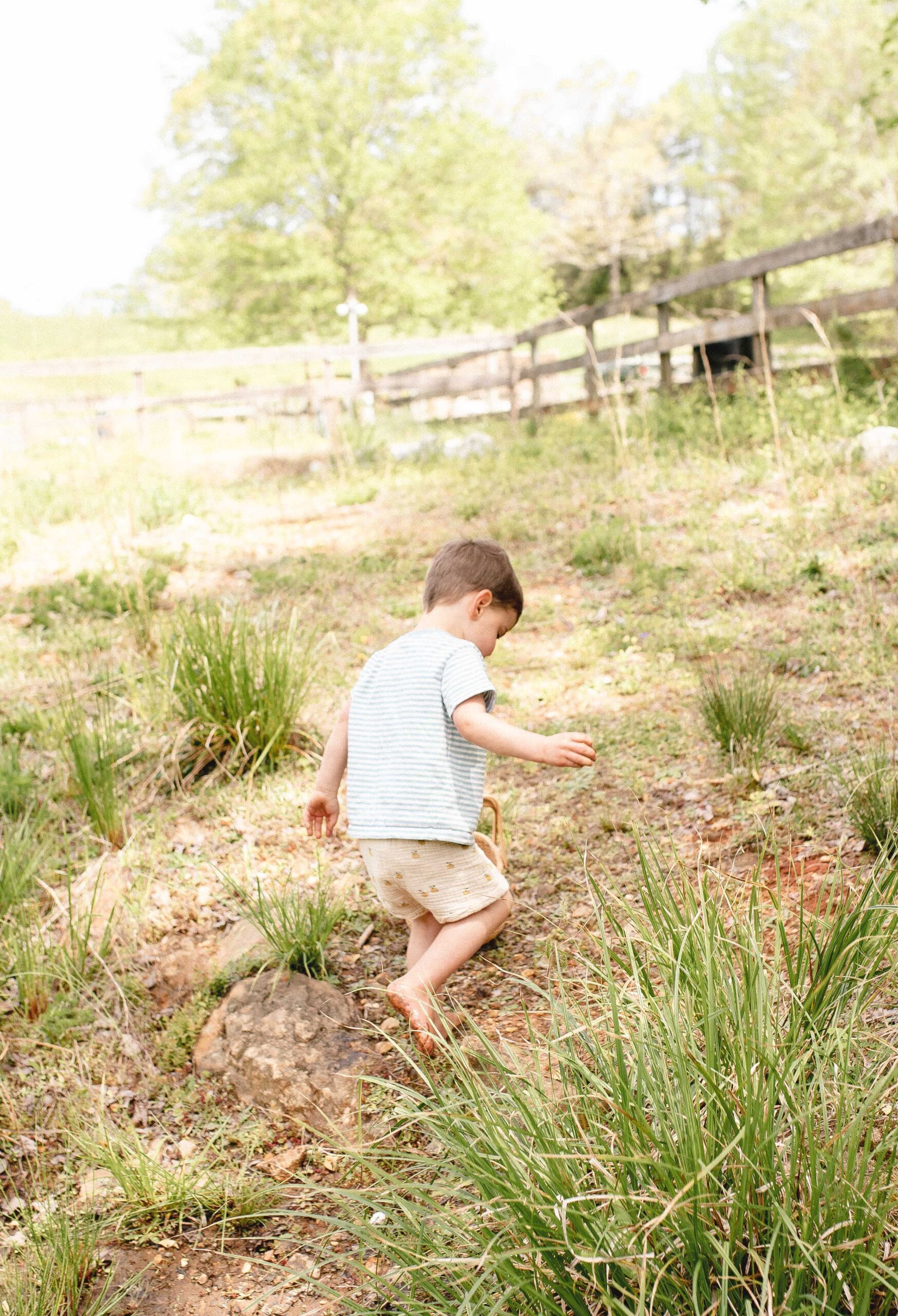5 Simple Nature Walk Activities for Earth Day - Wild Orchard Homestead