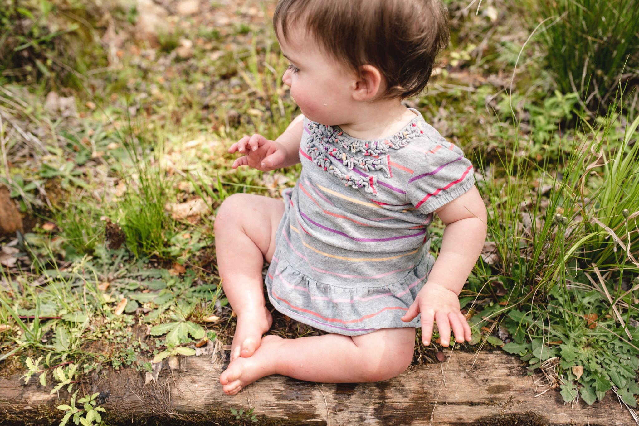 5 Simple Nature Walk Activities for Earth Day - Wild Orchard Homestead