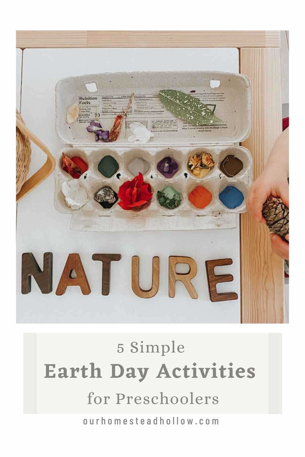 5 Simple Nature Walk Activities for Earth Day - Wild Orchard Homestead